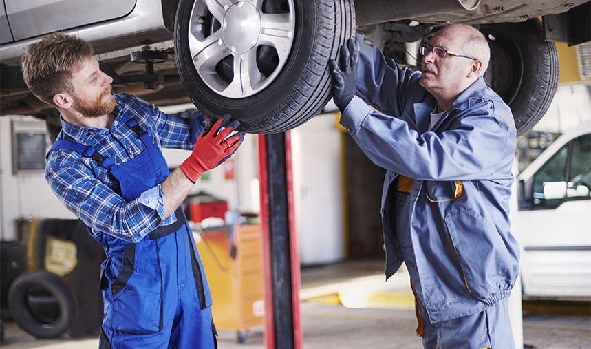 Transport & Cargo Logistics & Digital Transformation - Sutherland